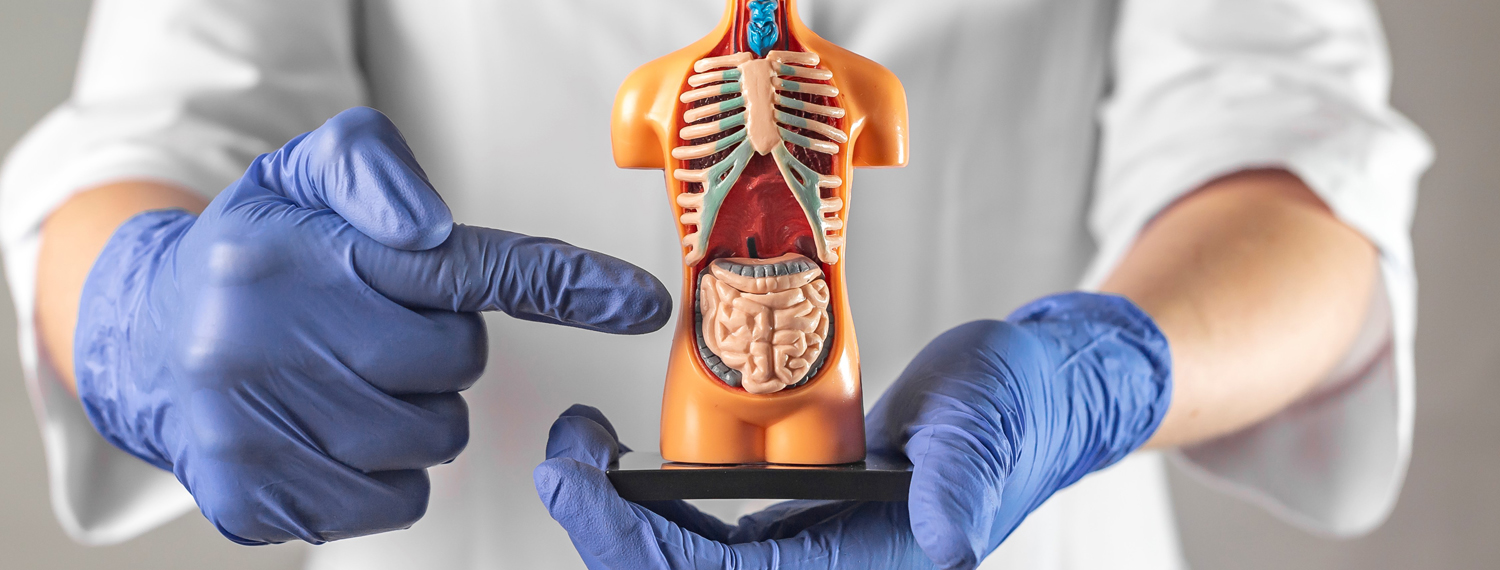 Relevância do Cancro Colorretal e das formas de Rastreio e Prevenção ...